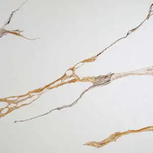 Where to buy Jade Gold, Quartz countertop by Raphael Stone.