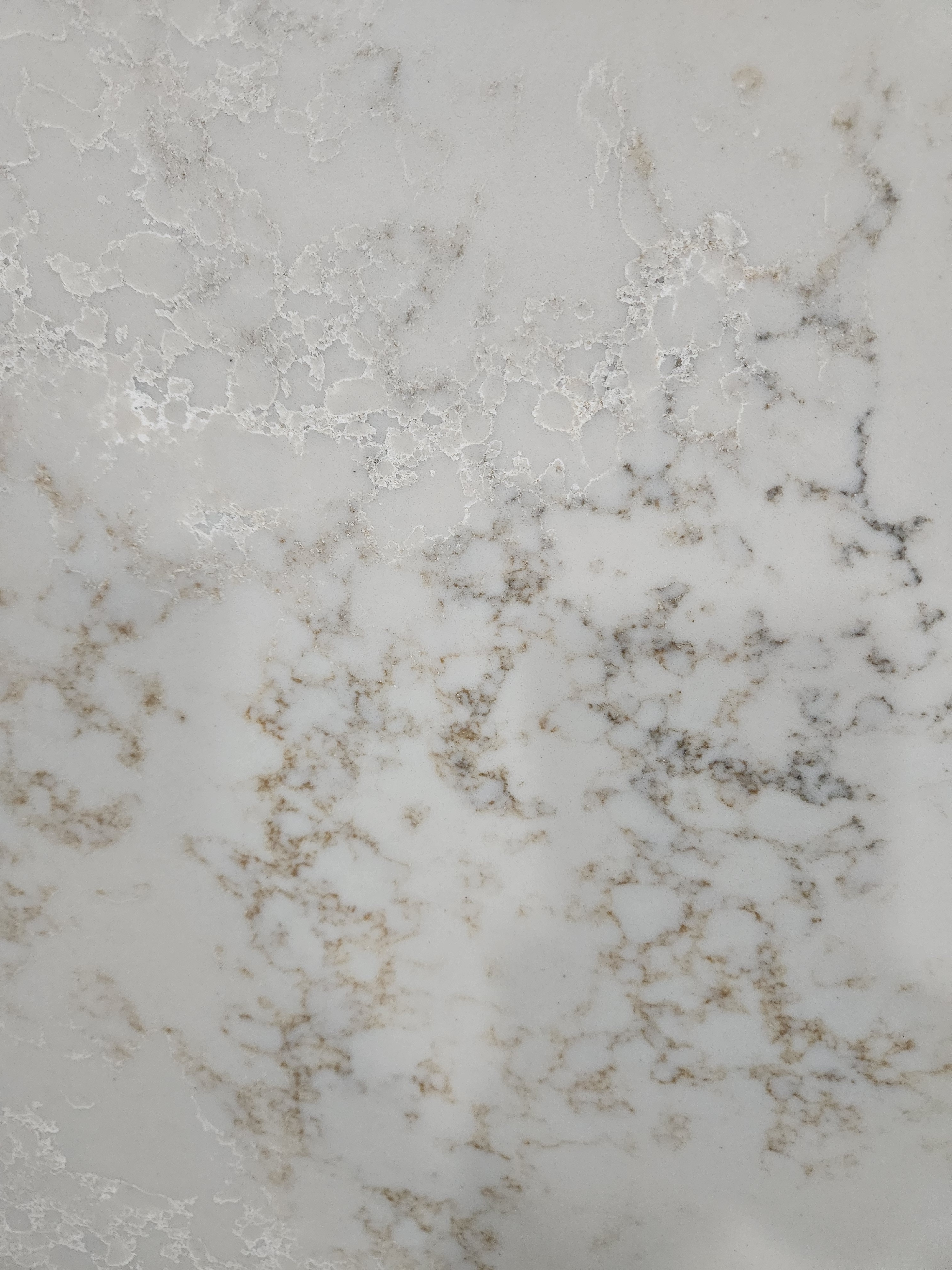 Where to buy 3cm Madre Pearla Gold Quartz Eterno, Quartz countertop by ...