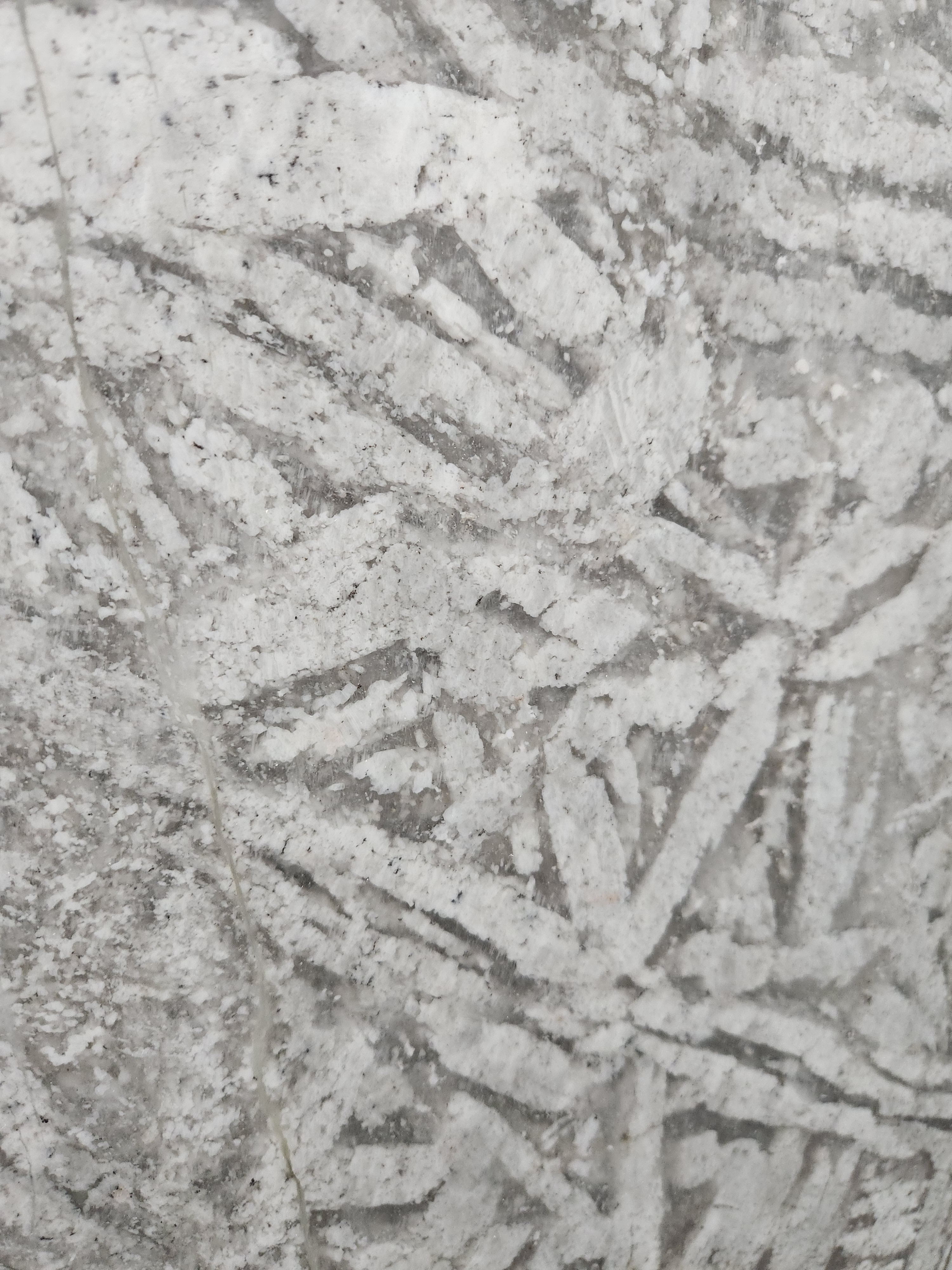 Where to buy 3cm Penna Bianca, Quartzite countertop by Boston Granite ...