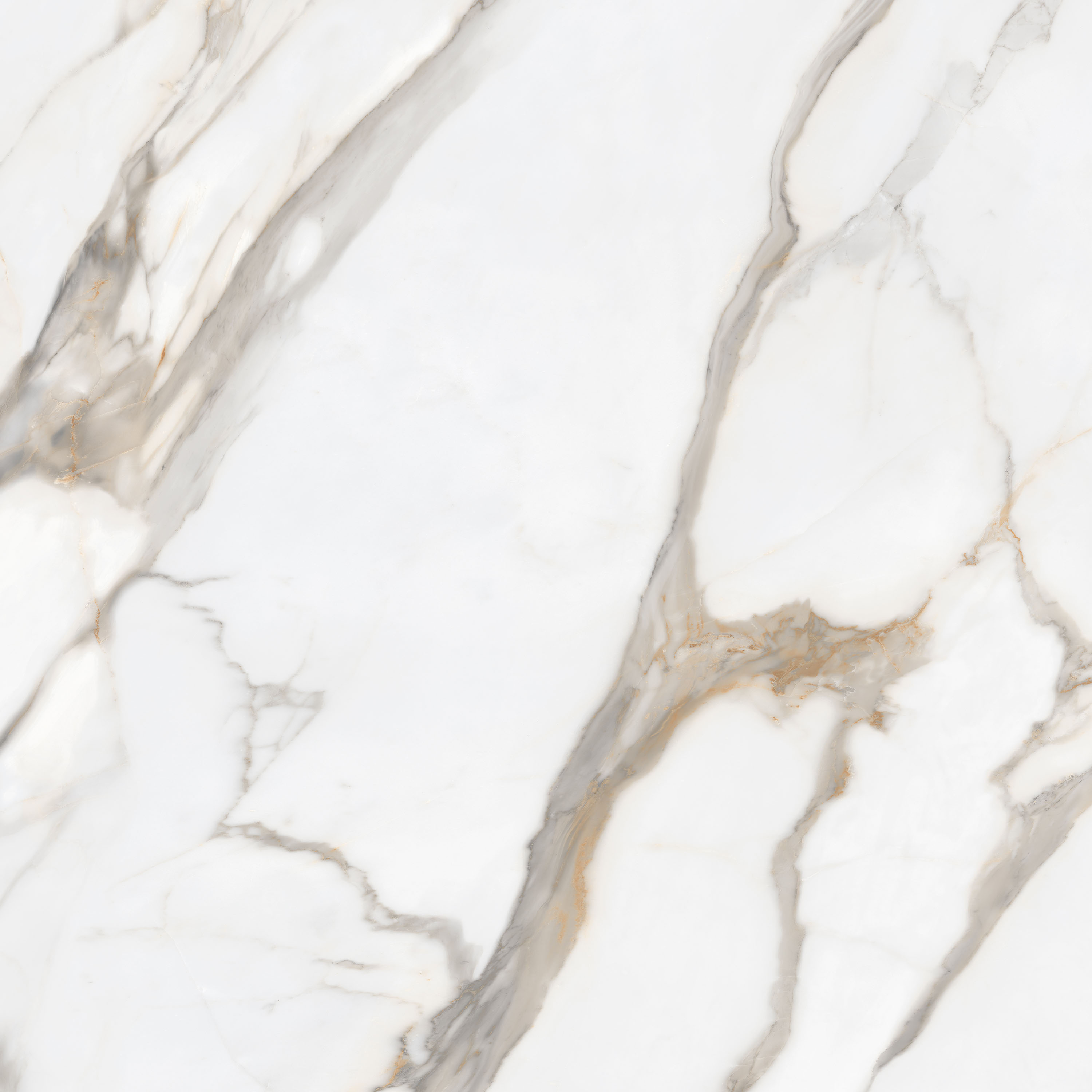 Buy Calacatta Oro porcelain tiles by Halcon Ceramicas. Stamford, CT ...