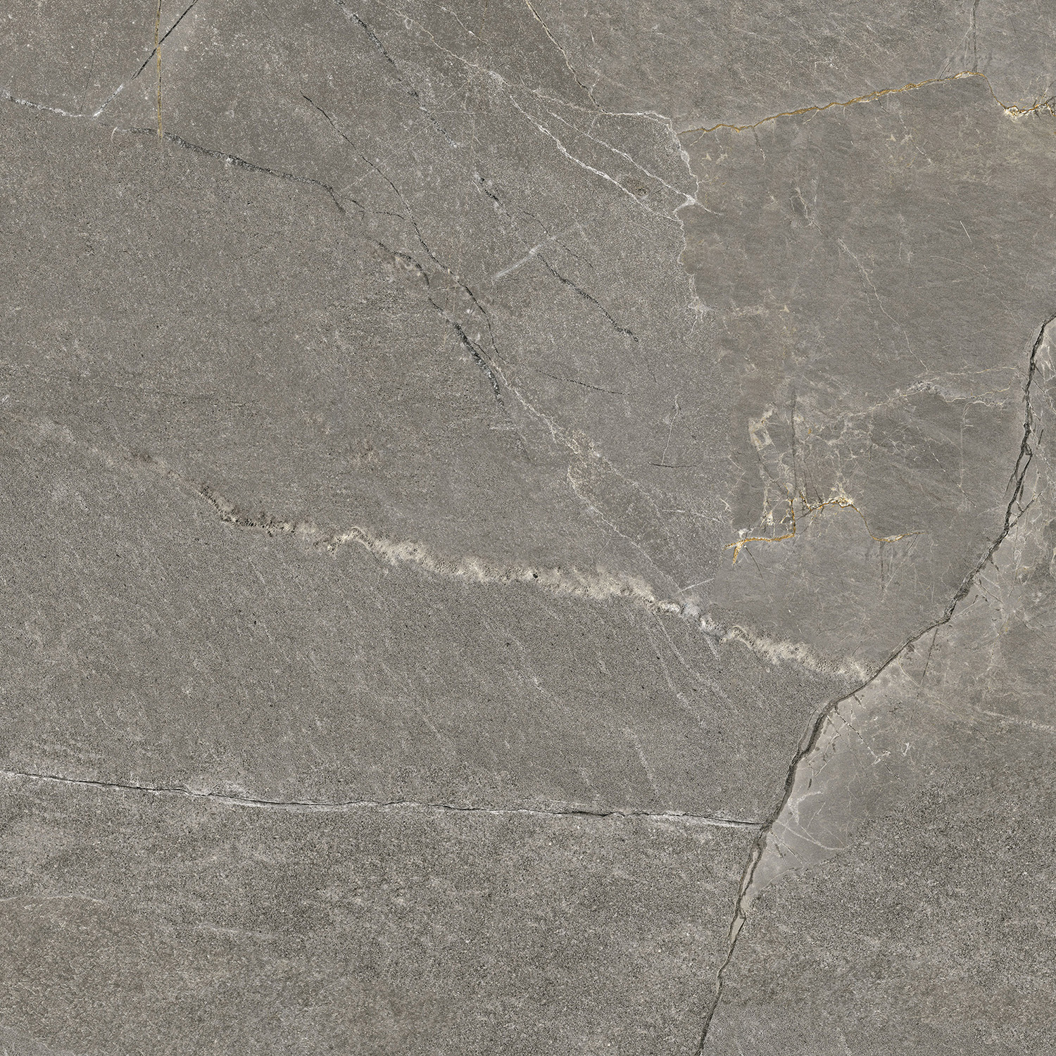 Where to buy Dark, Porcelain tile by Halcon Ceramicas.