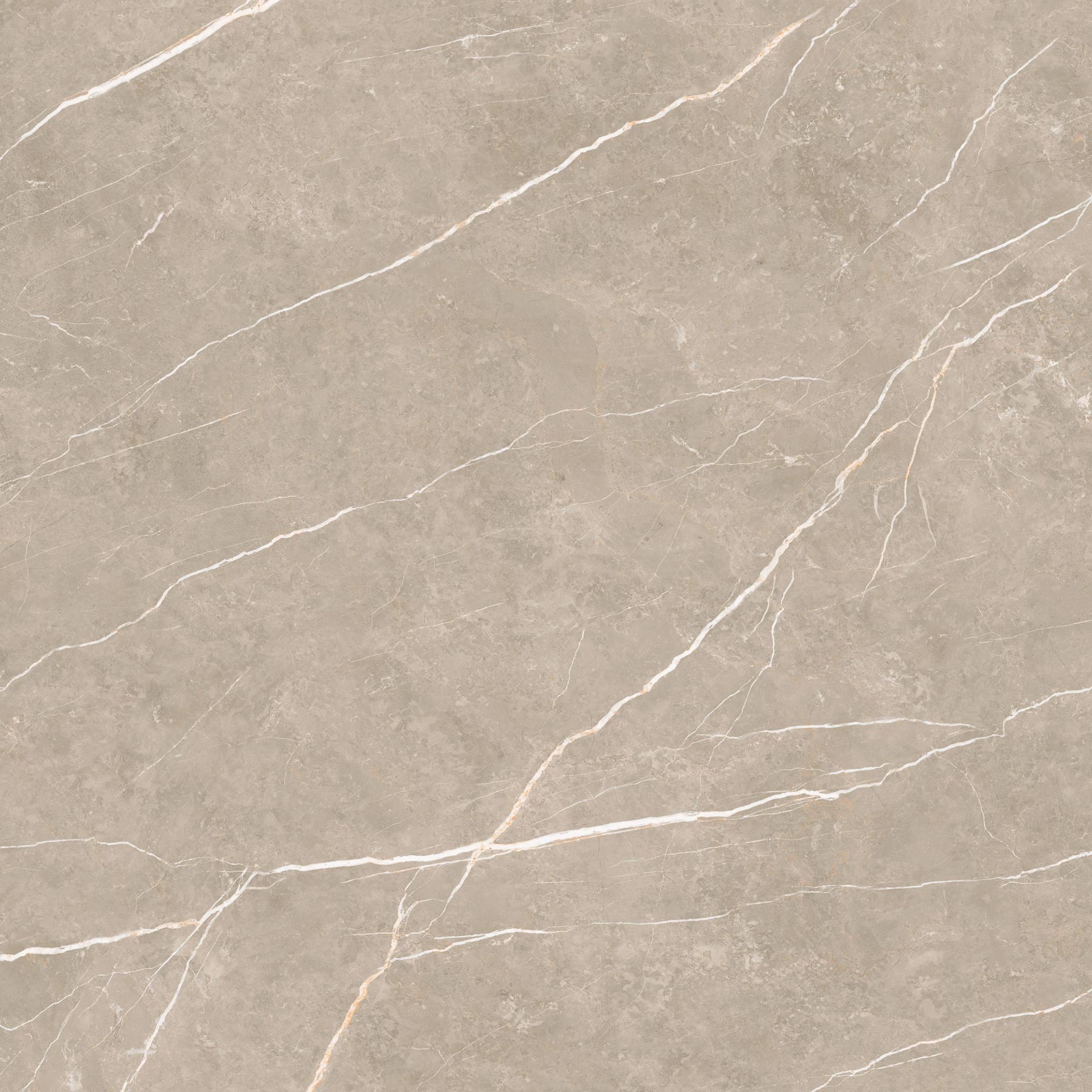 Elite Matt Greige - porcelain tile ELITE collection by TAU Ceramica in ...