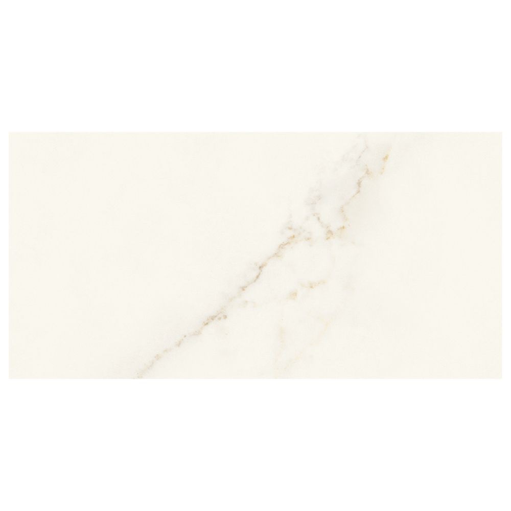 Marvel X 12x24 Calacatta Apuano Matte - porcelain tile Marvel X ...