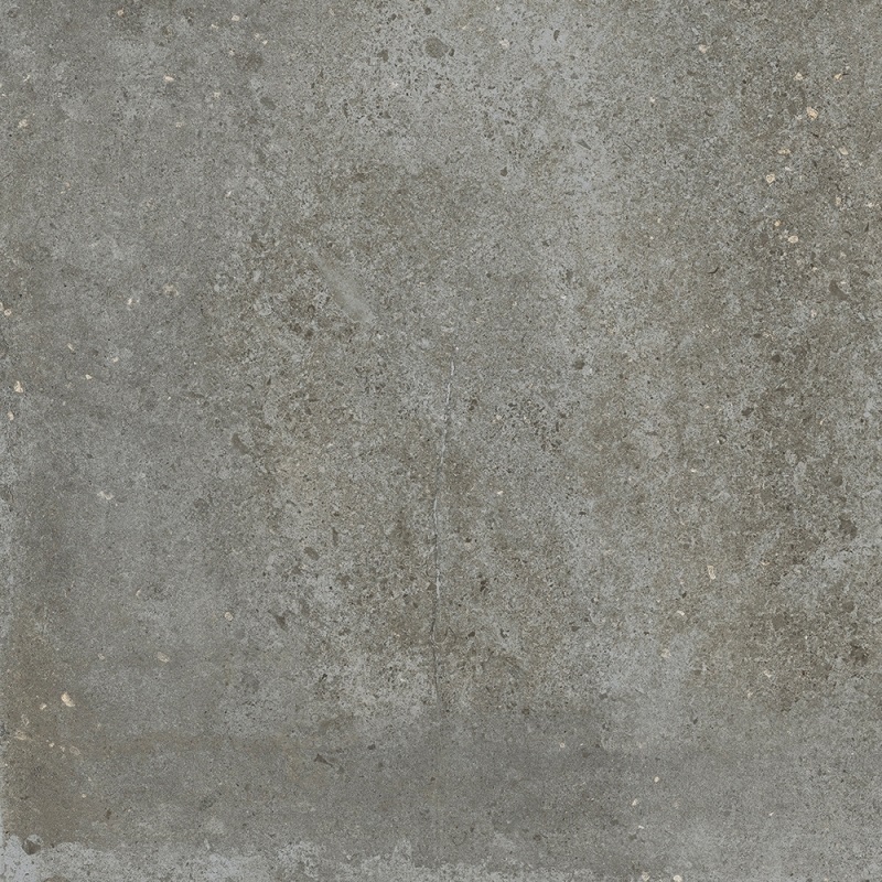 Where to buy FANGO, Porcelain tile by Gardenia Orchidea.