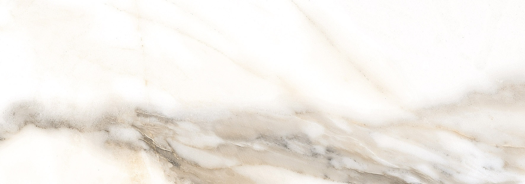 Where to buy CALACATTA MATT, Ceramic tile by Fanal.
