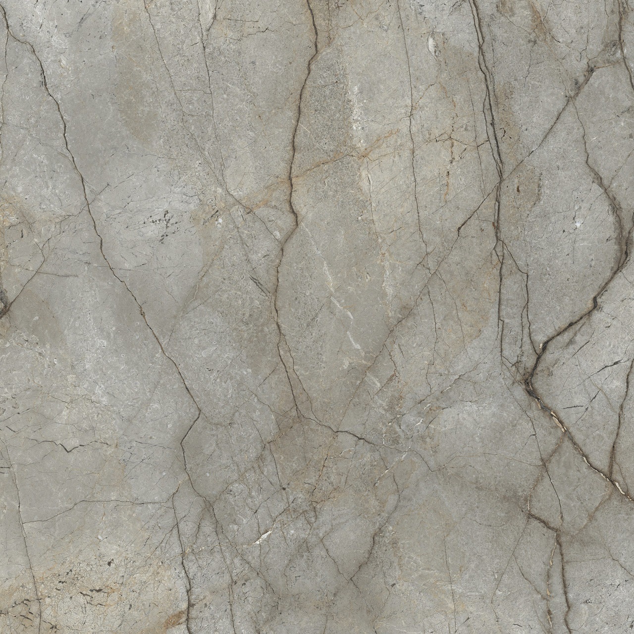 Where to buy ESSENCE GREY NPLUS, Porcelain tile by Fanal.