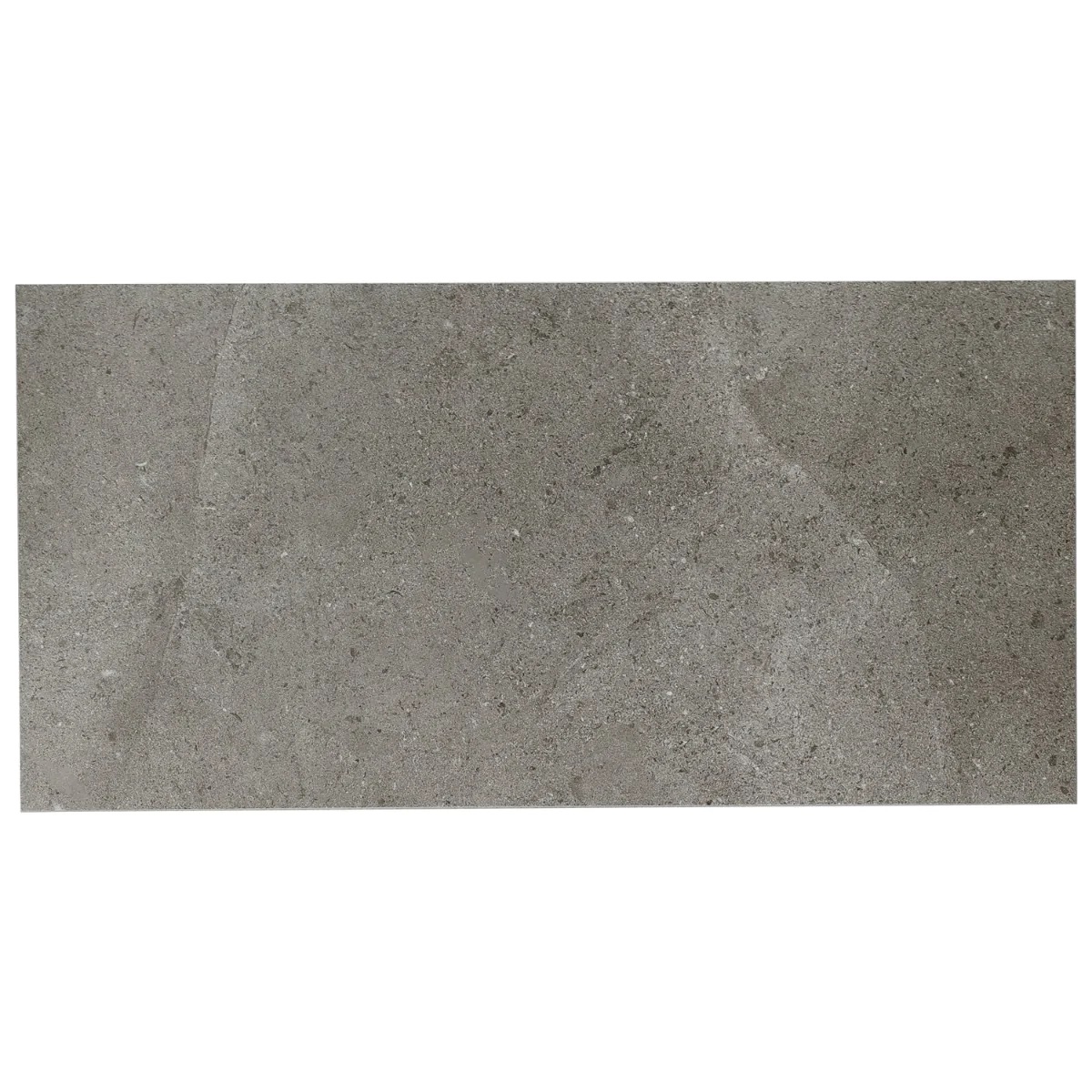 Ages Fossil Dark Gray Limestone Look Matte Porcelain Tile - porcelain ...