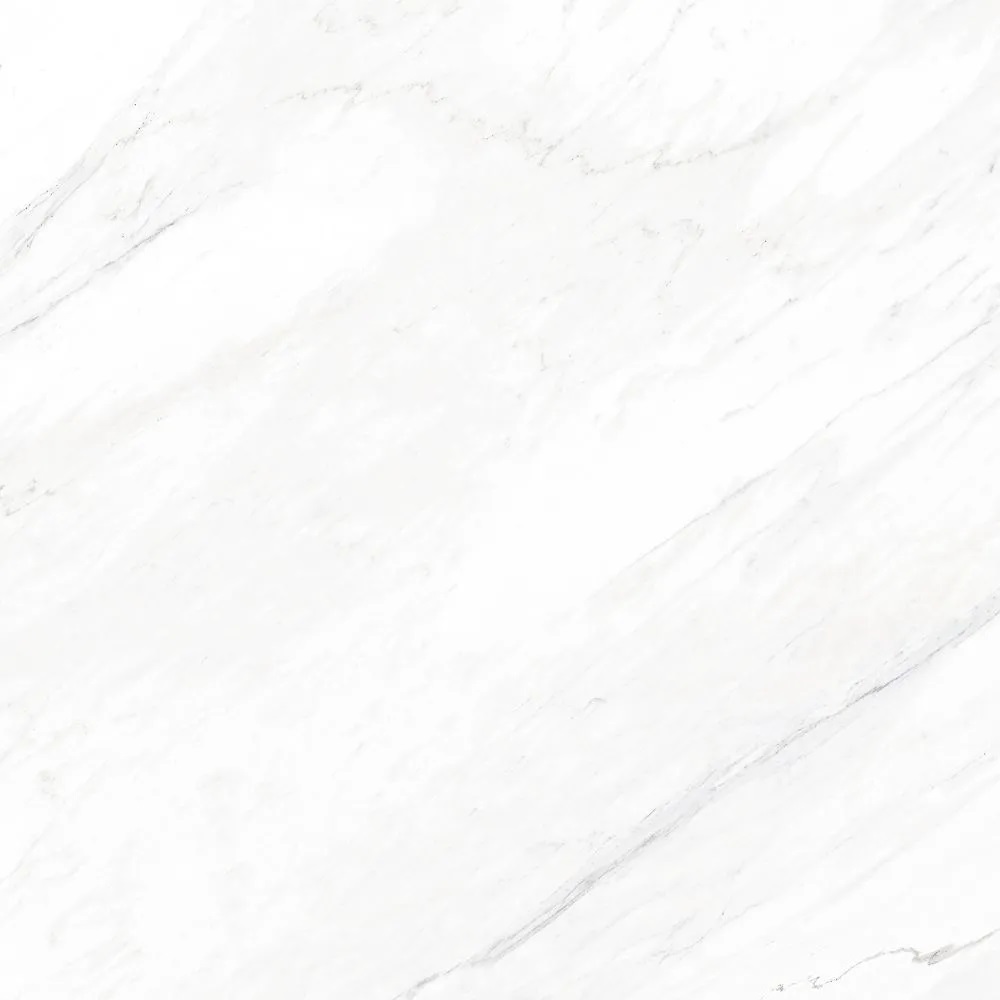 Where to buy Luxe White 48X48 Honed Matte, Porcelain tile by Cancos ...