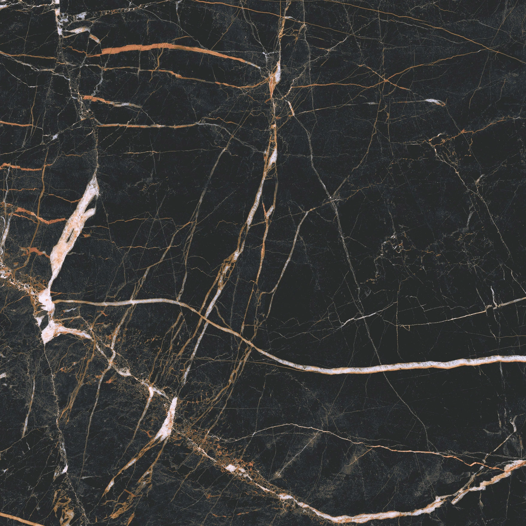 Where to buy Regal Marble Polished, Porcelain tile by Showroom Collection.