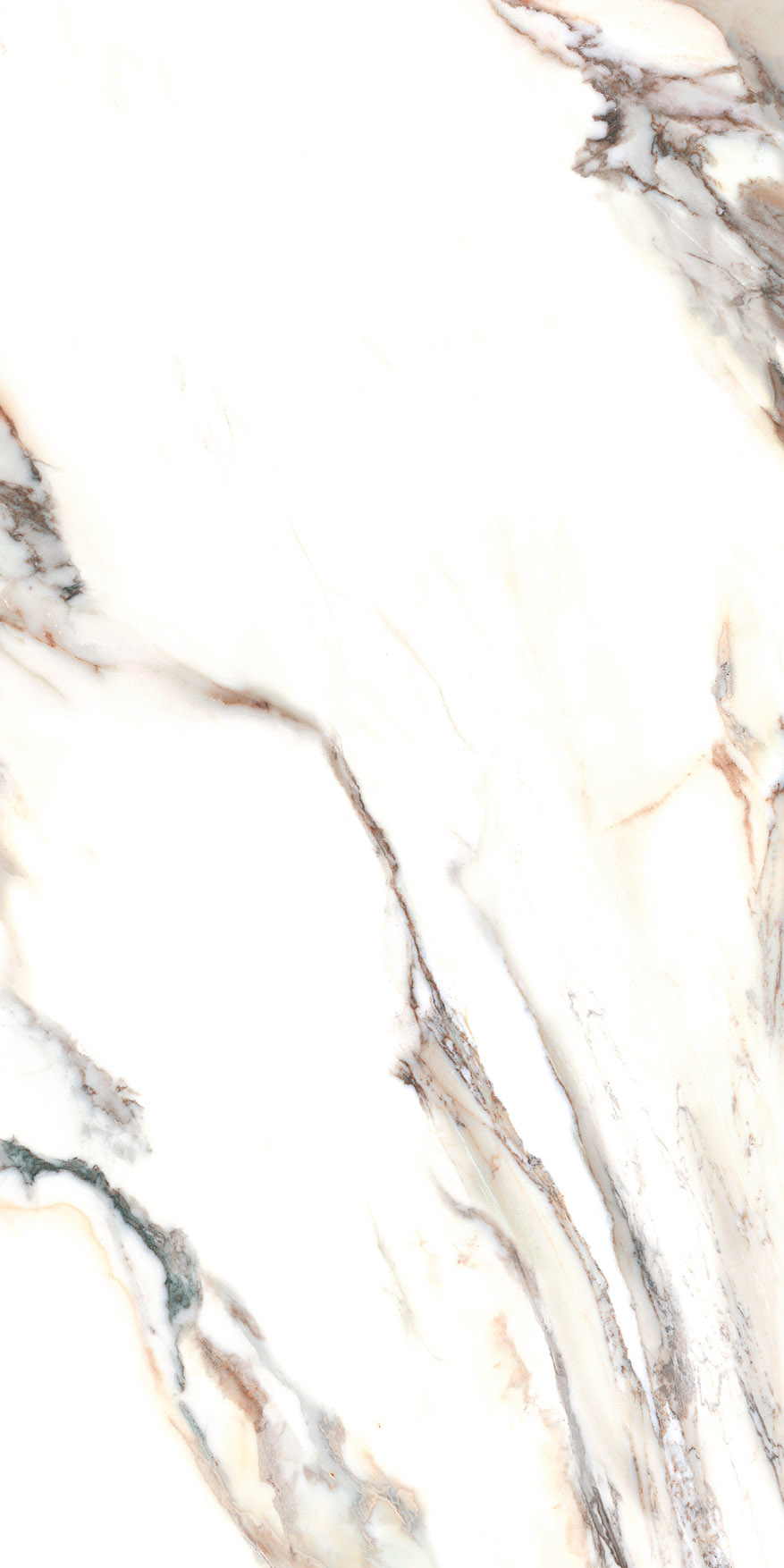 Where to buy Riviera Marble Matte, Porcelain tile by Showroom Collection.