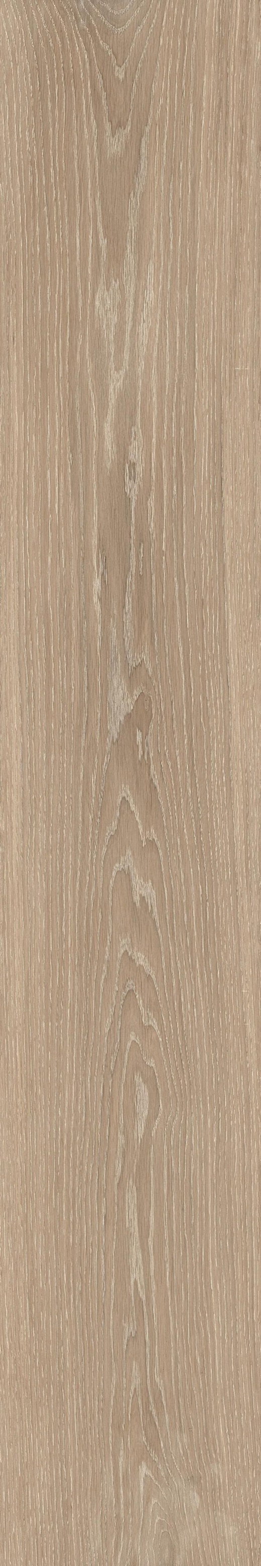 Catalan Champagne - porcelain tile Catalan collection by Genrose Stone ...