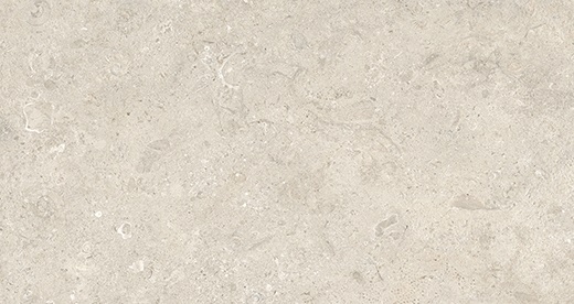 Where to buy Reef Calcite, Porcelain tile by Genrose Stone & Tile.