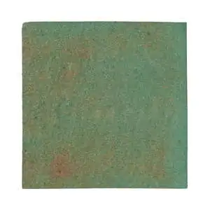 Where to buy Sudio Field 5x5 Pata Grande High Fire Ceramic Tile Turtle, Ceramic tile by ARTO.