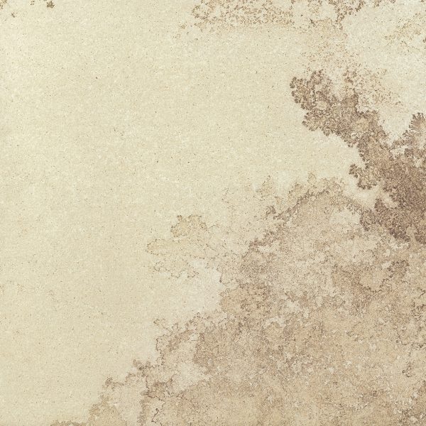 Where to buy Fossil tiles by Ceramica Gazzini