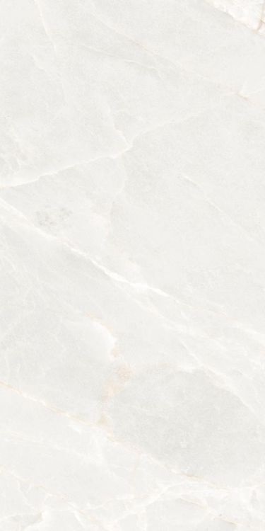 Where to buy Brasilia White Polished, Porcelain tile by Elysium.