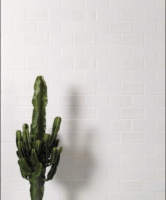 Buy Cotton porcelain tiles by Valmori Ceramica. South Easton, MA ...