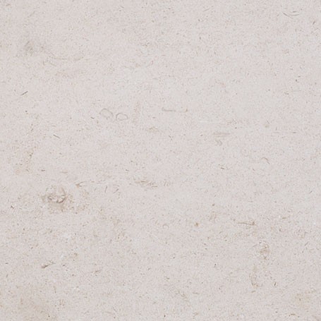 Where to buy Simena Fossil, Limestone tile by Agora Surfaces.
