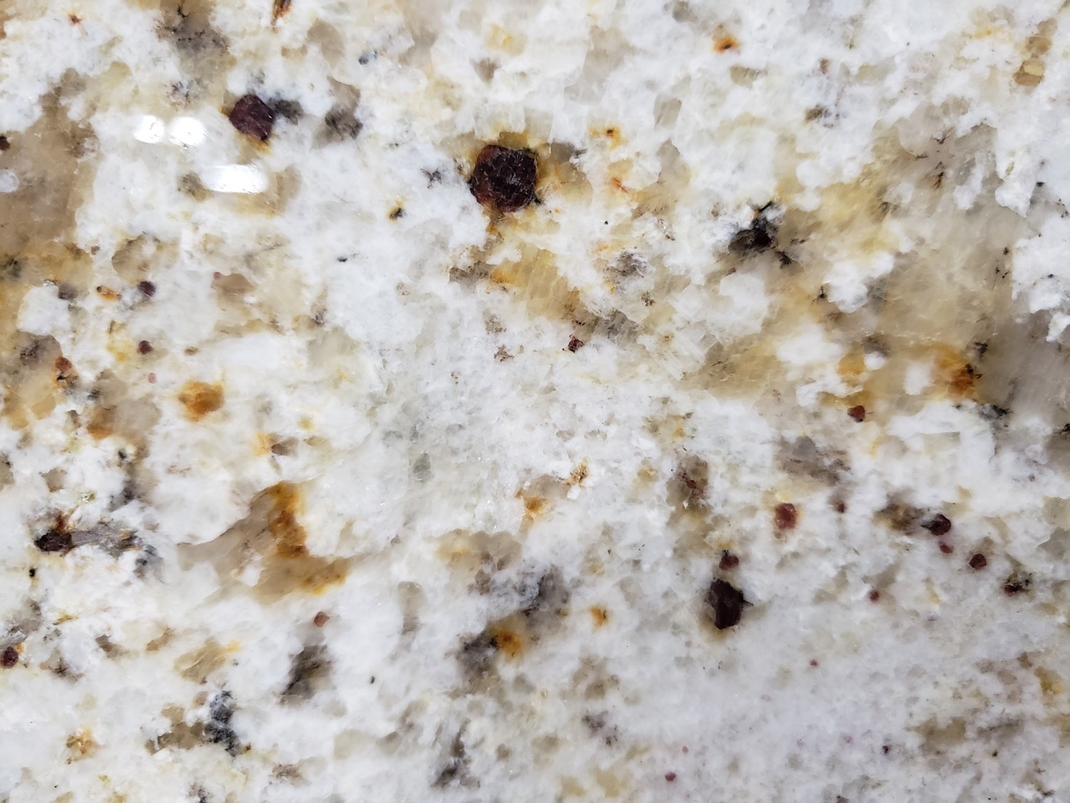 Where to buy Colonial Cream, Granite countertop by Boston Granite Exchange.