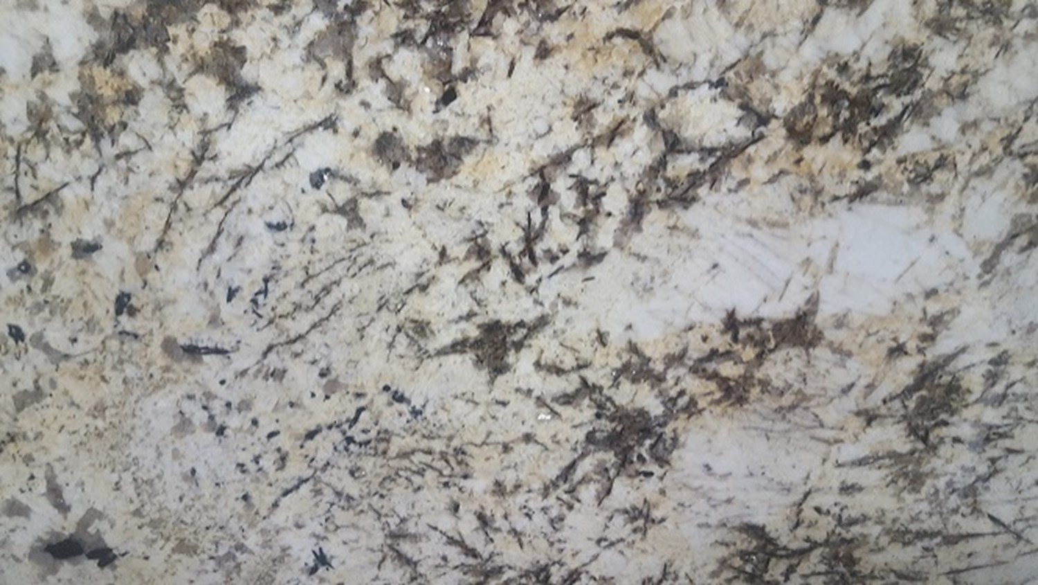 Where to buy Petrous Cream, Granite countertop by Boston Granite Exchange.