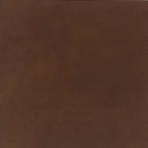 Where to buy RUST, Porcelain tile by DalTile.