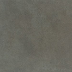 Where to buy RUST Model porcelain tiles. DalTile.