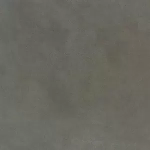 Where to buy RUST, Porcelain tile by DalTile.