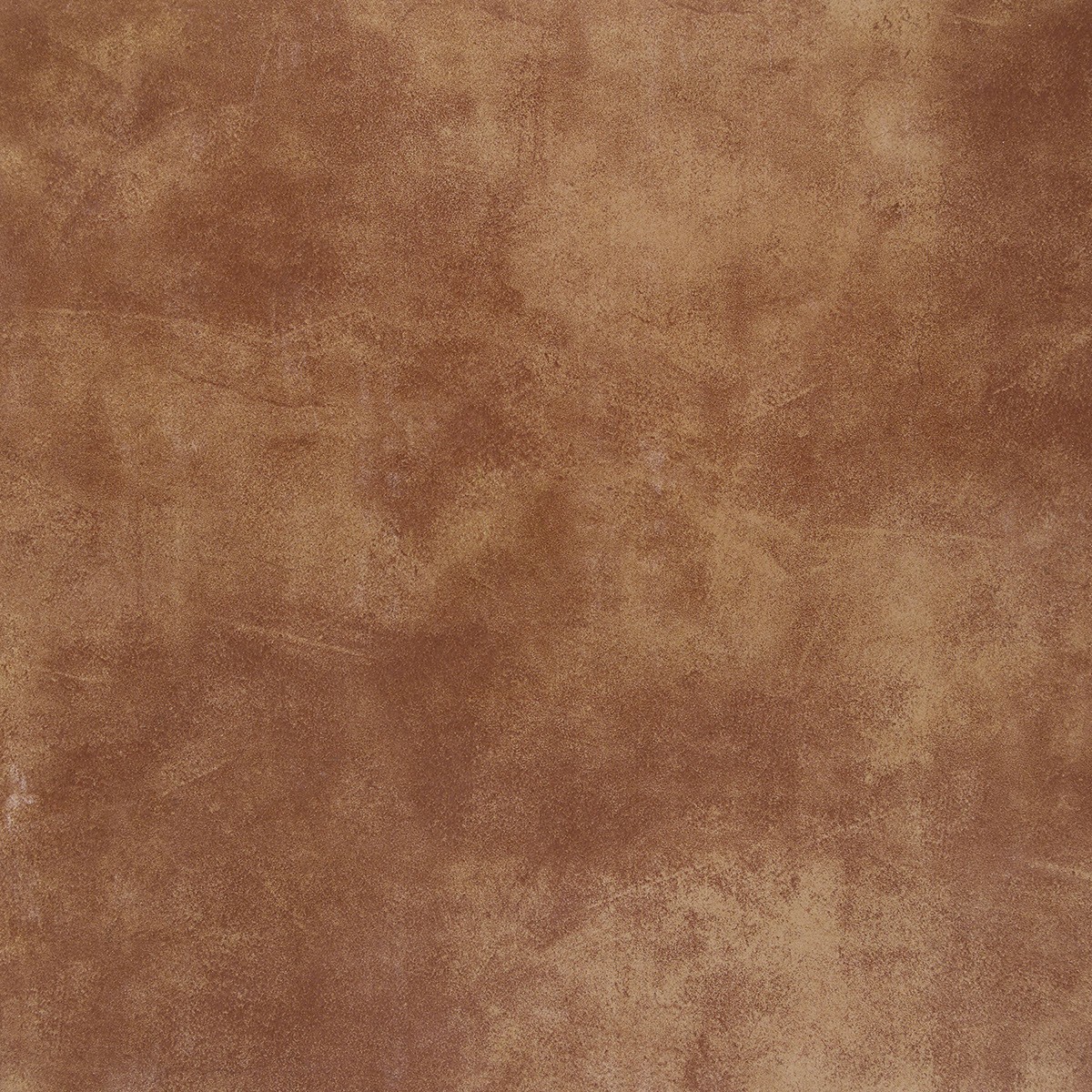 Where to buy RUST, Porcelain tile by DalTile.
