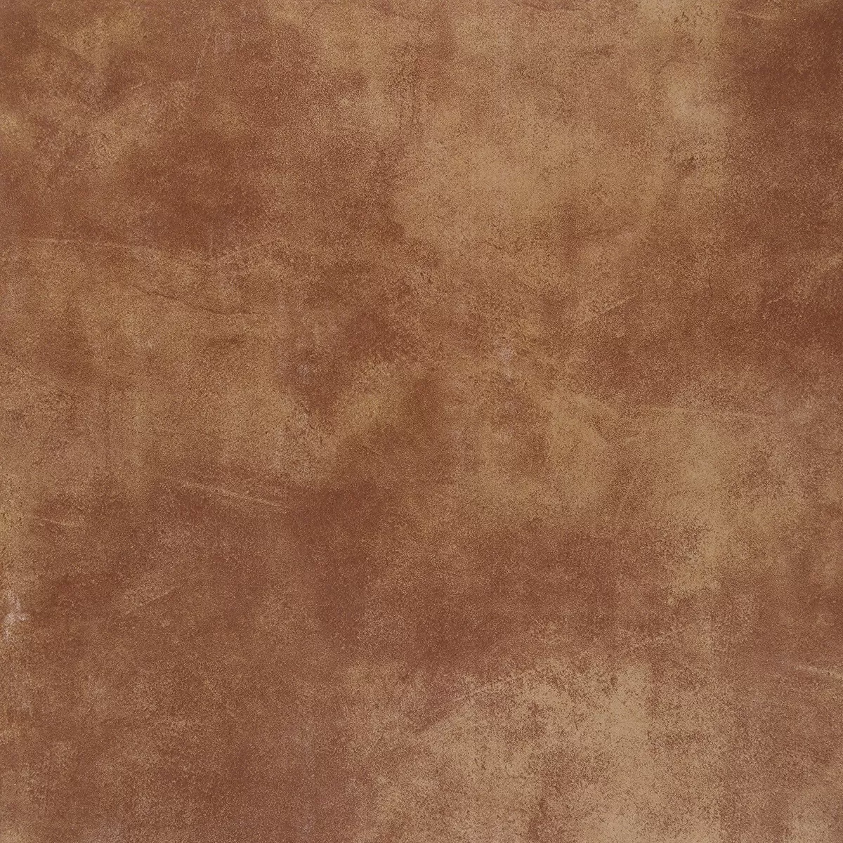 Where to buy RUST, Porcelain tile by DalTile.