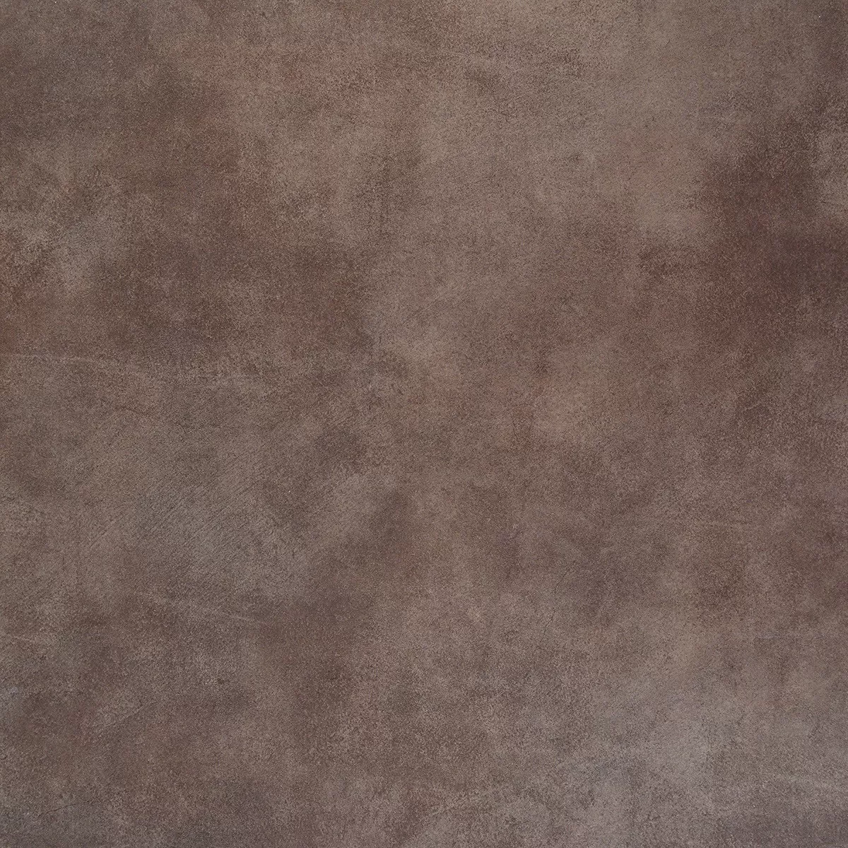 Where to buy Veranda Solids porcelain tiles. DalTile.