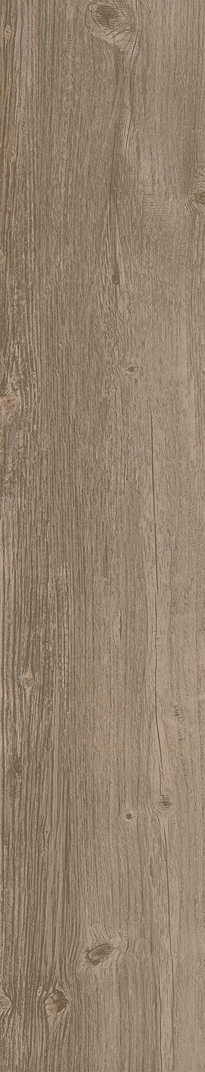 Where to buy Legend Beige, Ceramic tile by Interceramic.
