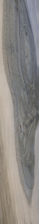 Where to buy Kiwi tiles by Happy Floors