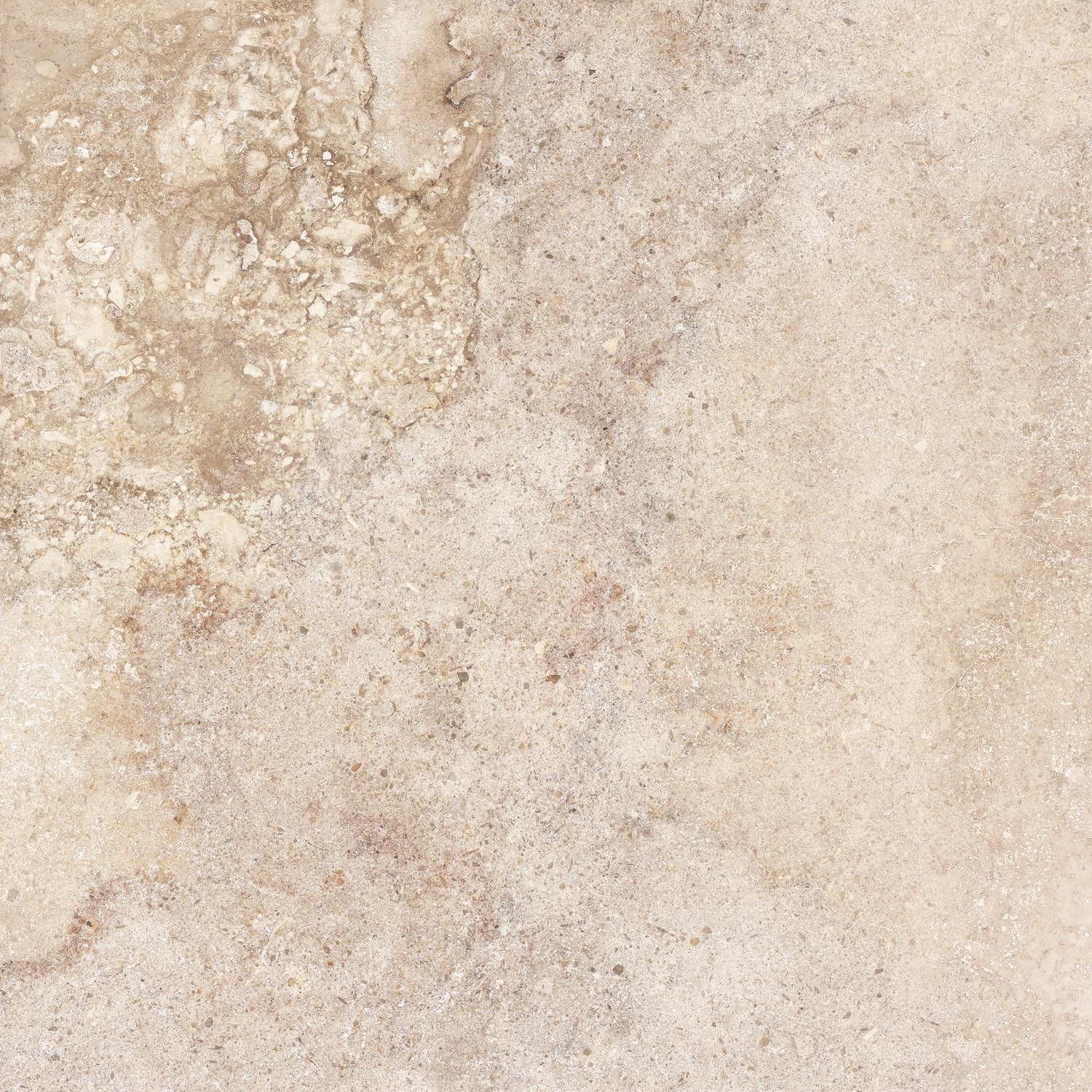 Where to buy Pompeii Beige, Porcelain tile by Antico Stone & Tile.
