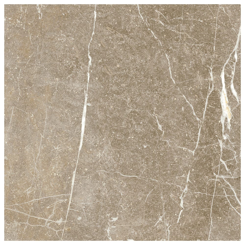 Where to buy Astral Plane tiles by Nemo Tile & Stone