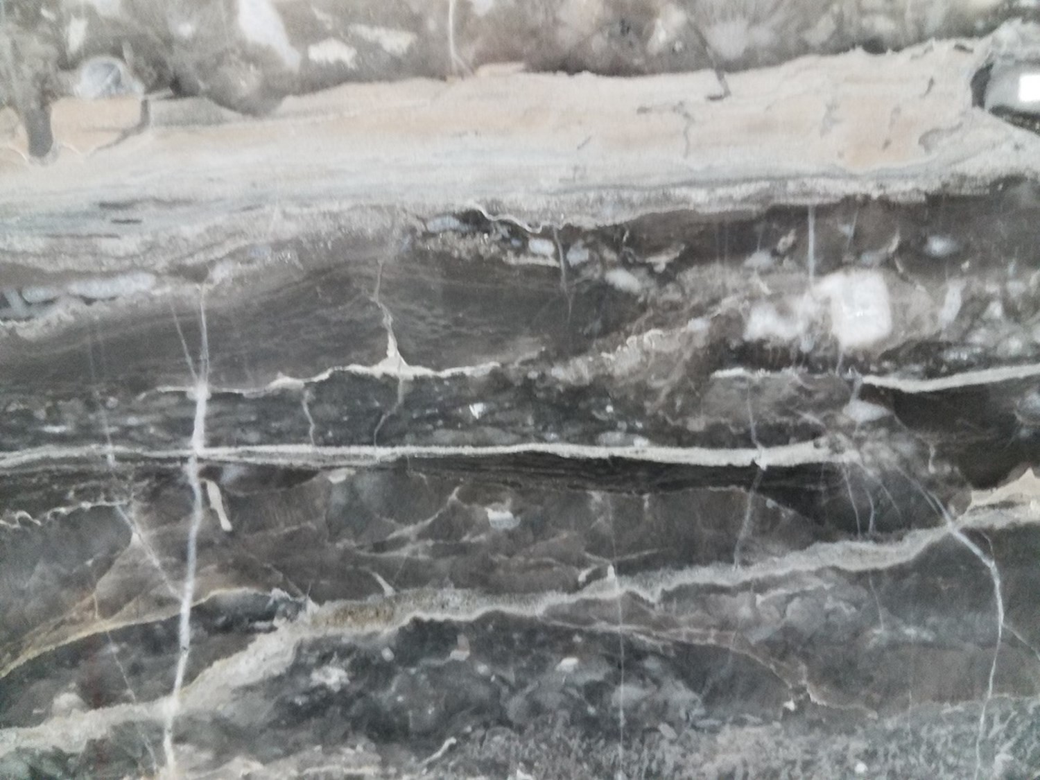 3cm Arabescato Orobico Dark - marble countertop Marble collection by ...