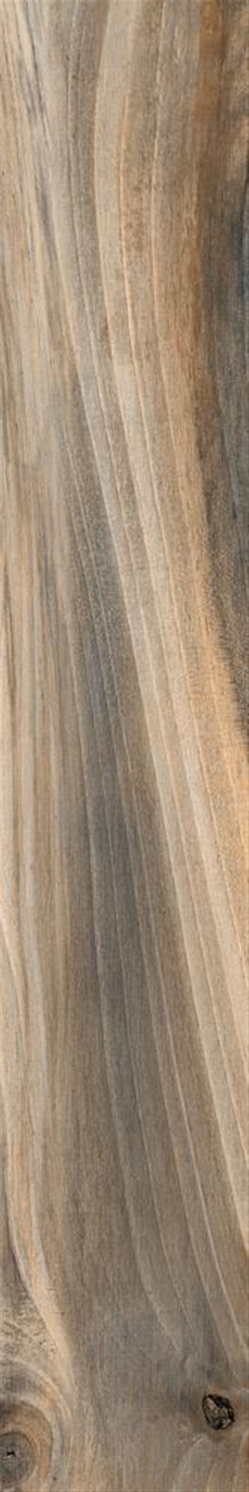 Drift Polished - porcelain tile Tasmania collection by Happy Floors in ...
