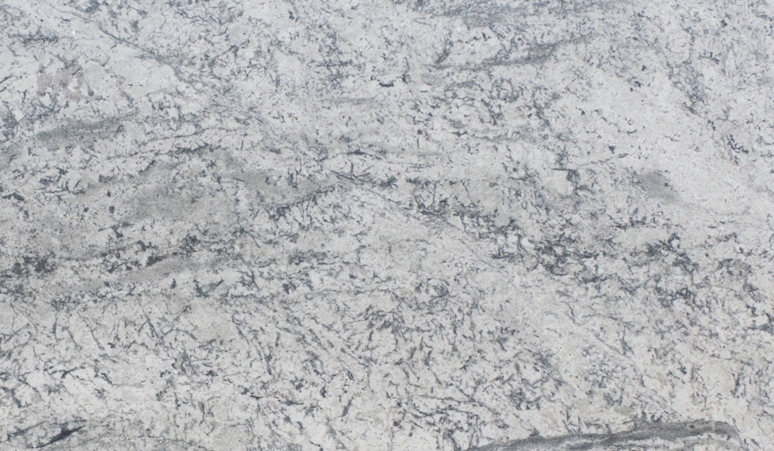 Buy Platinum White granite countertops by Bedrosians Tile & Stone ...