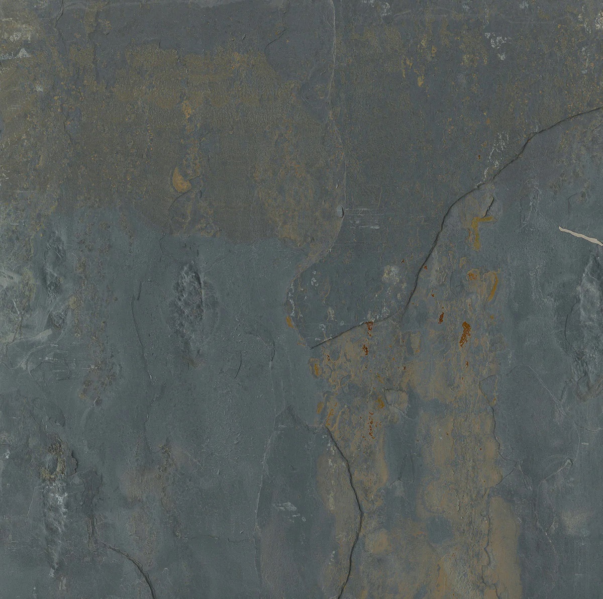 Rustic Gold - slate tile SLATE, QUARTZITE & SANDSTONE collection by ...