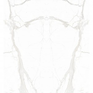 Honed Calacatta Carbone - porcelain countertop Magnifica Encore ...