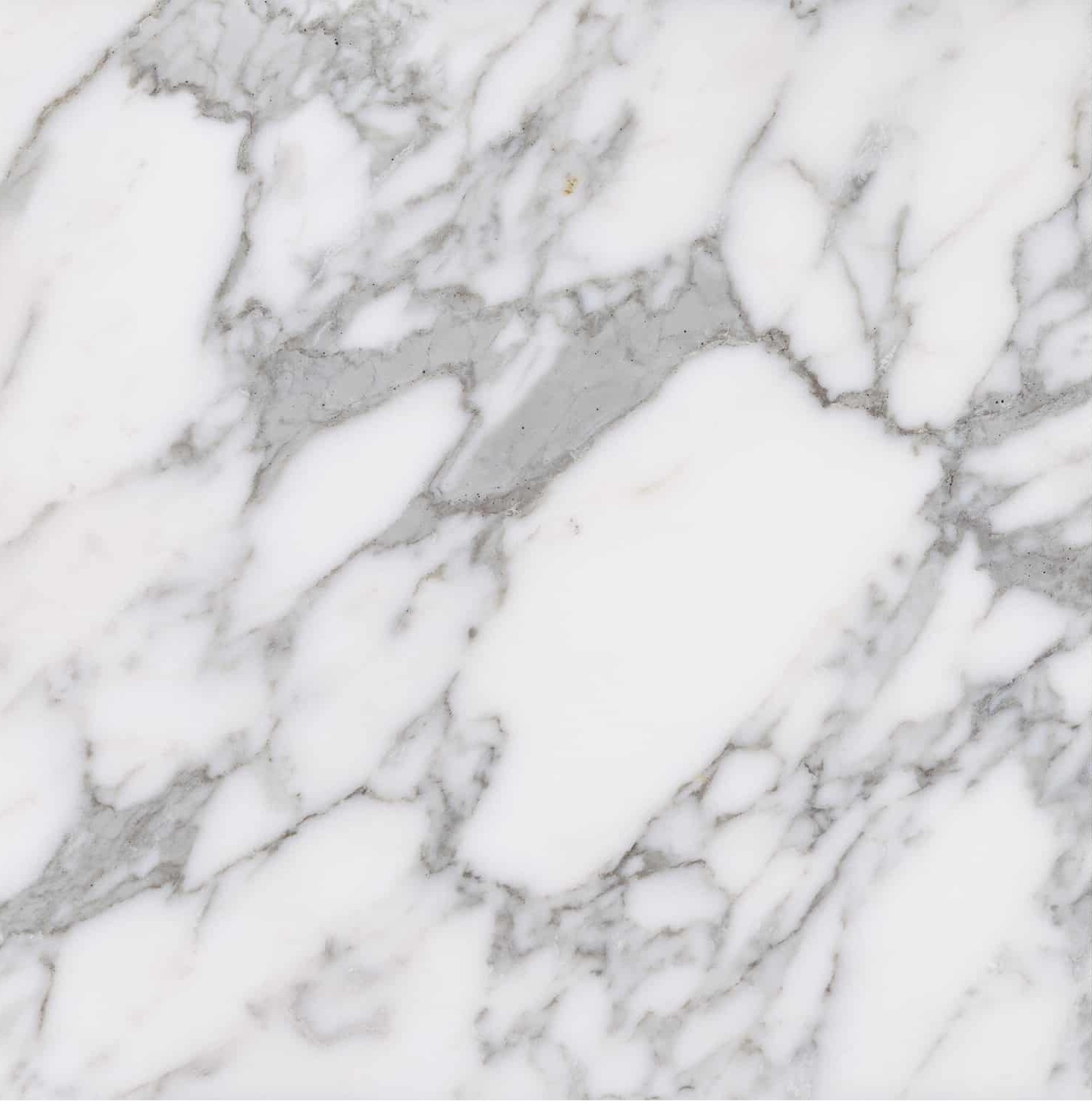 Where to buy Calacatta Gold Honed, Marble tile by Interceramic.