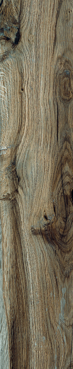 Where to buy Soft Ash, Porcelain tile by Ceramica Rondine.