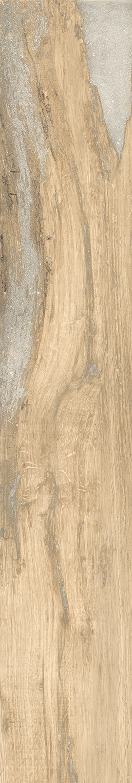 Buy Infusion porcelain tiles by Ceramica Rondine. Stamford, CT - Lima ...